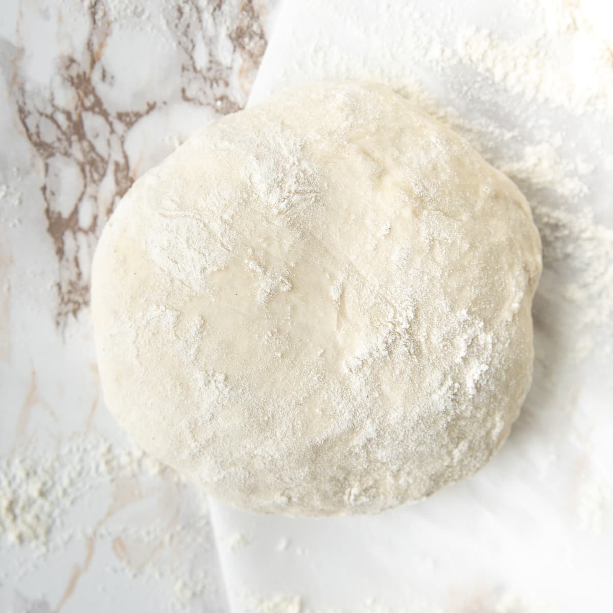 Pizza Dough | Cookies and Salt